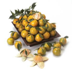 Home1 – English – กรมส่งเสริมการเกษตร กระทรวงเกษตรและสหกรณ์