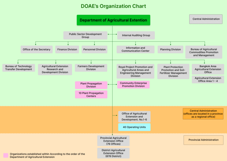 Organization structure, management, authority – กรมส่งเสริมการเกษตร กระทรวงเกษตรและสหกรณ์