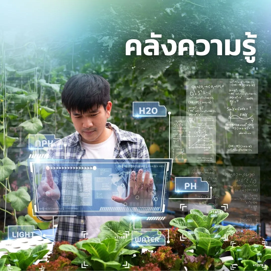 Home New 2024 – กรมส่งเสริมการเกษตร กระทรวงเกษตรและสหกรณ์