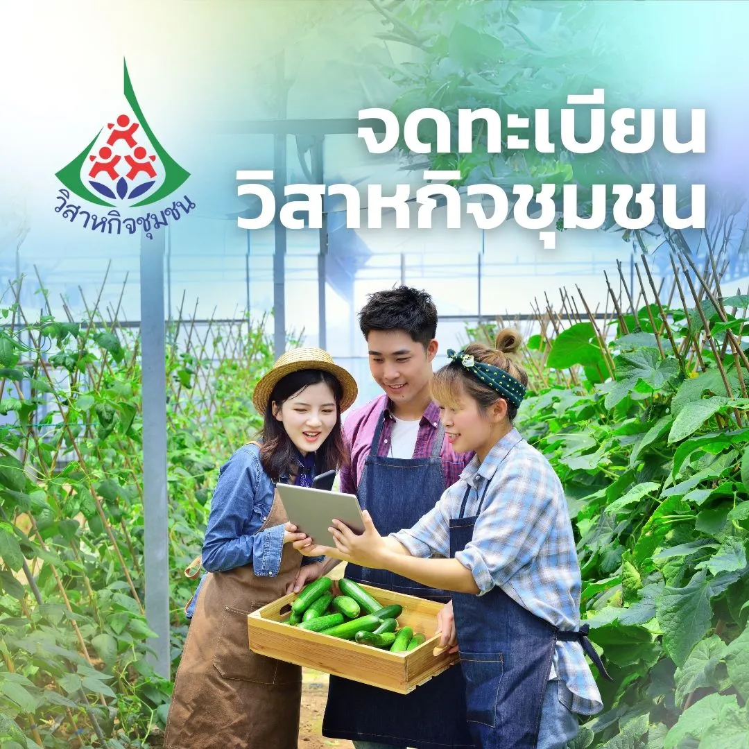 Home New 2024 – กรมส่งเสริมการเกษตร กระทรวงเกษตรและสหกรณ์