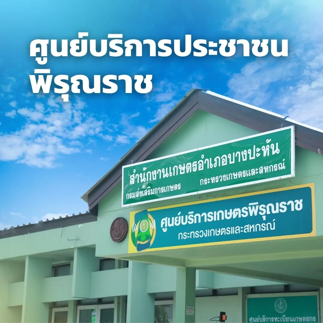 Home New 2024 – กรมส่งเสริมการเกษตร กระทรวงเกษตรและสหกรณ์