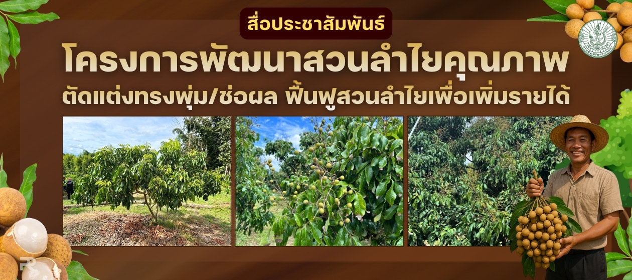 Home New 2024 – กรมส่งเสริมการเกษตร กระทรวงเกษตรและสหกรณ์